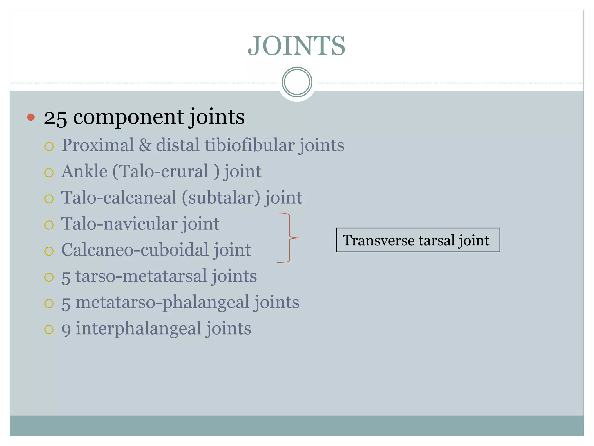 Ankle & foot biomechanics | PPTX