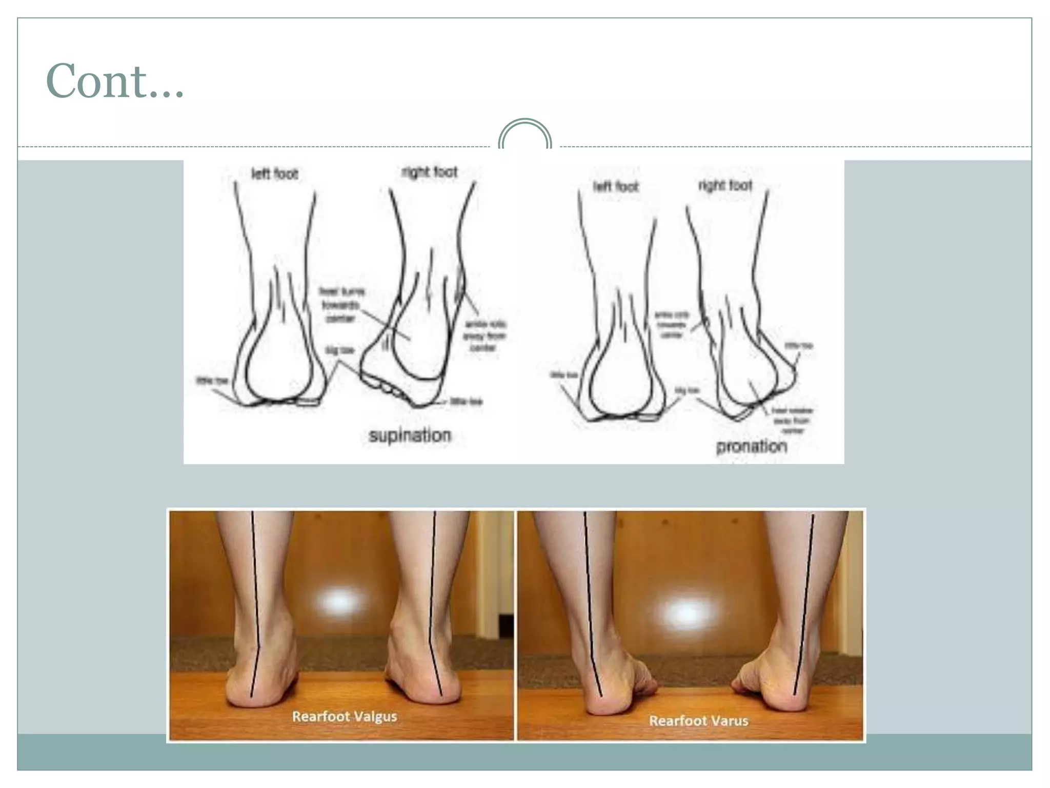 Ankle & foot biomechanics | PPTX