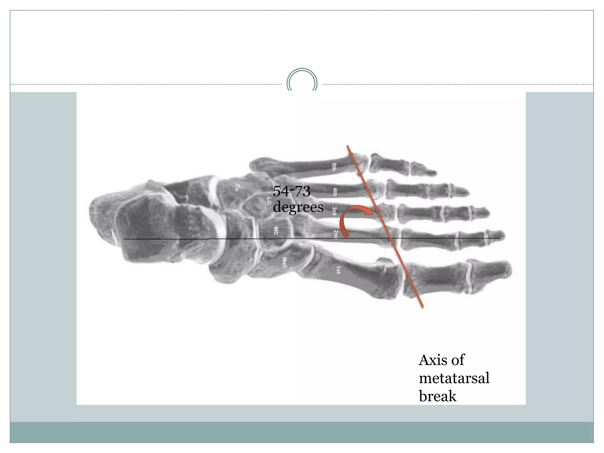 Ankle & foot biomechanics | PPTX