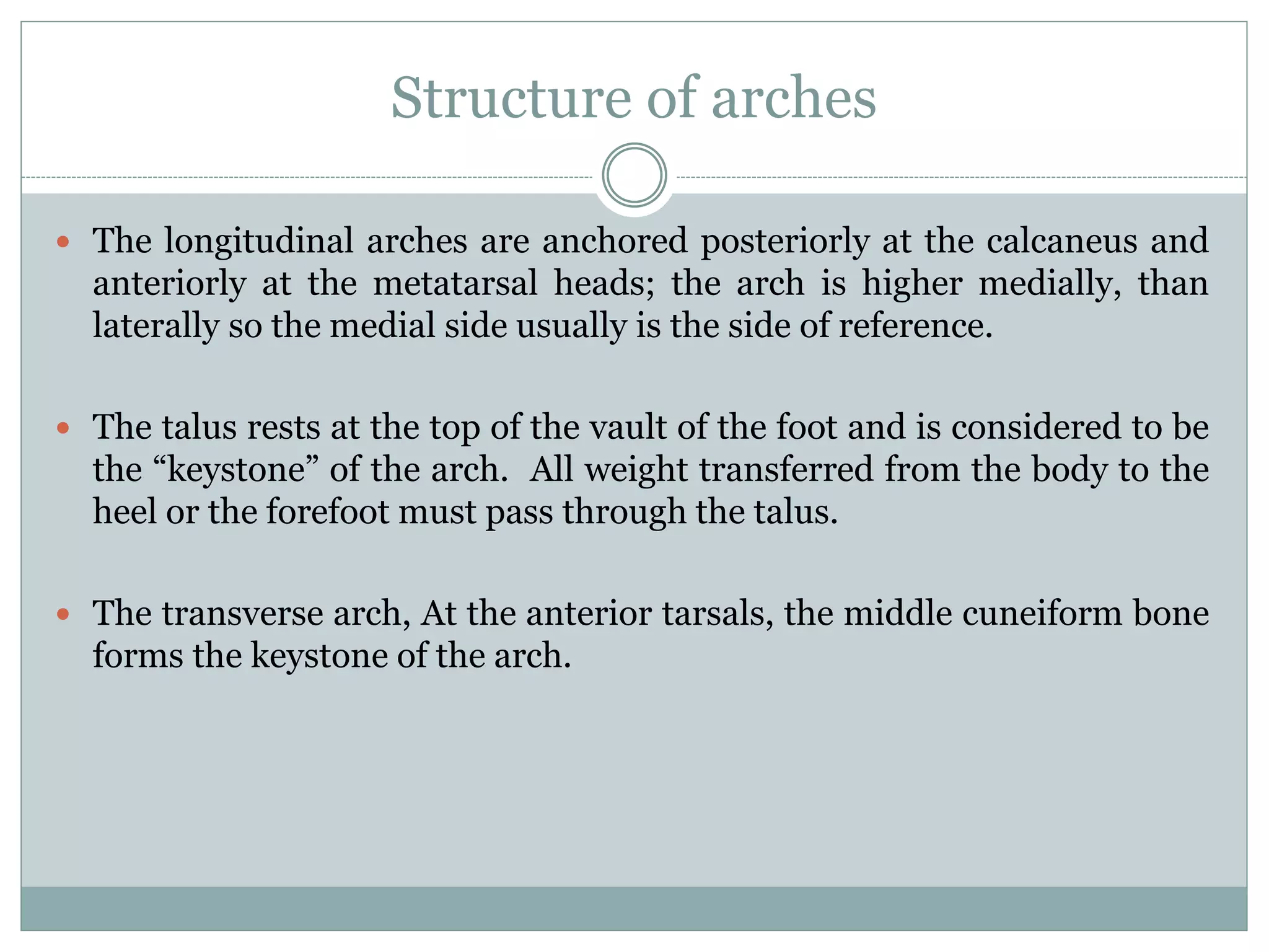 Ankle & foot biomechanics | PPTX