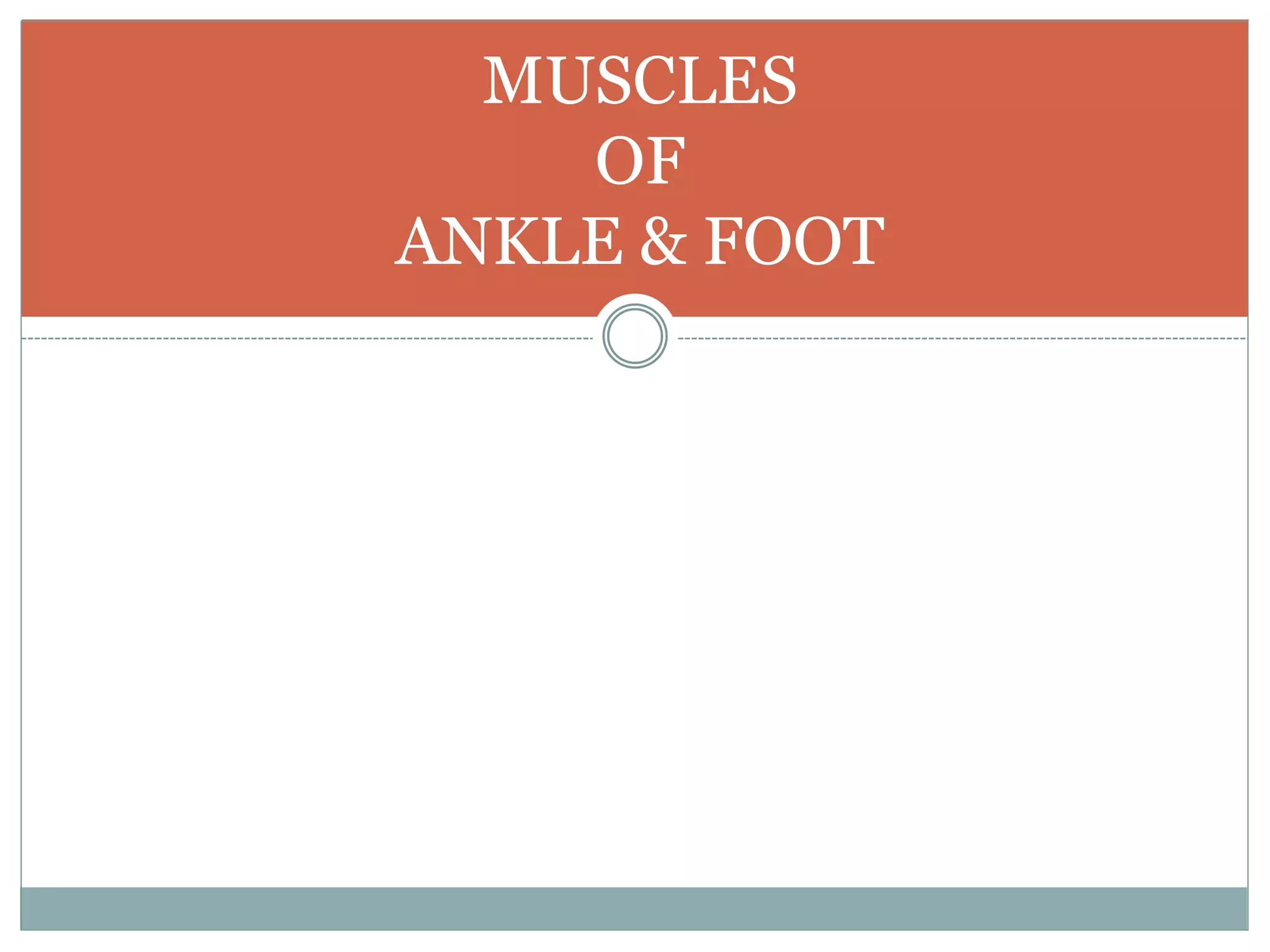 Ankle & foot biomechanics | PPTX