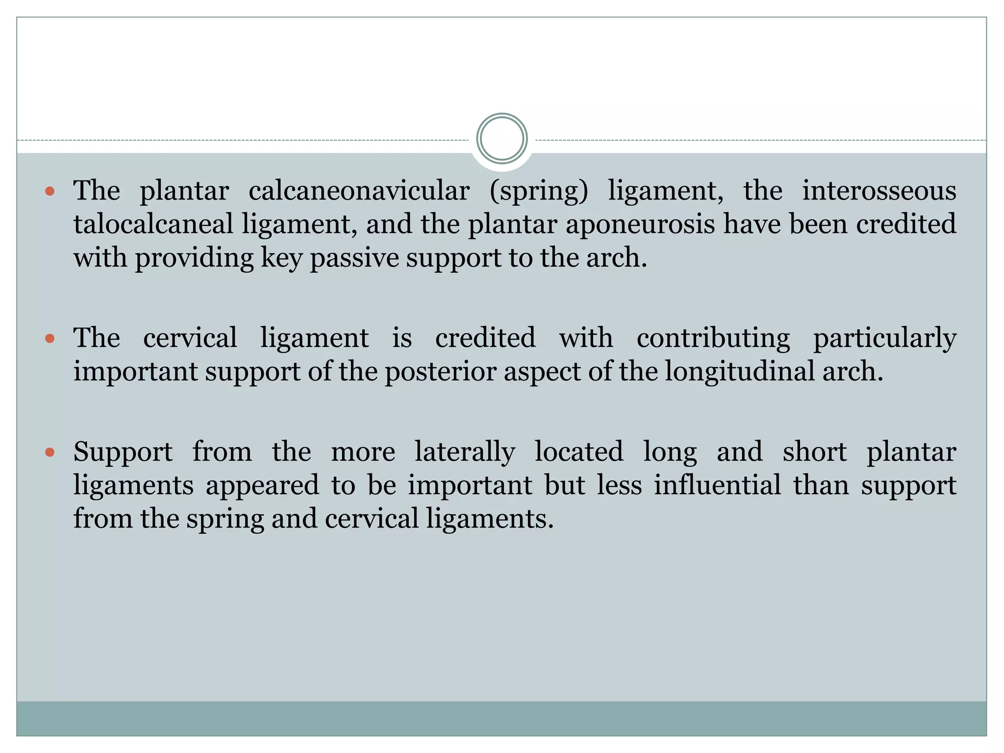 Ankle & foot biomechanics | PPTX