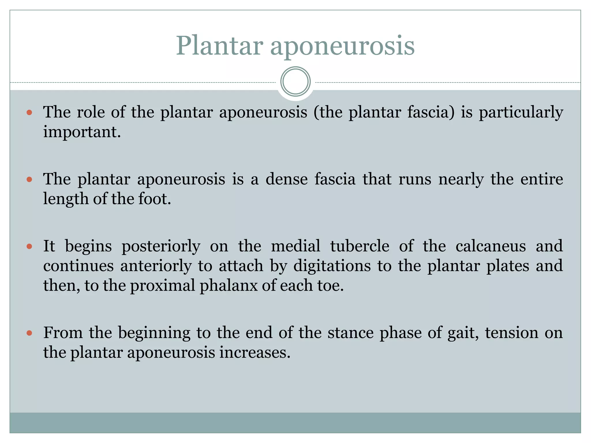 Ankle & foot biomechanics | PPTX