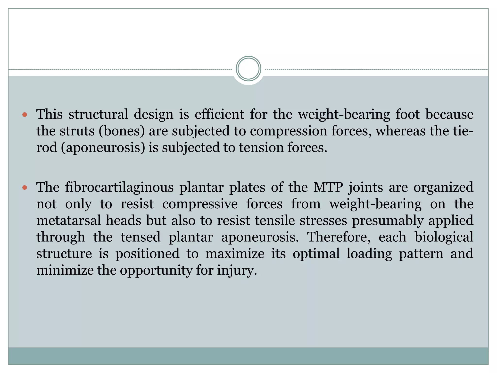 Ankle & foot biomechanics | PPTX