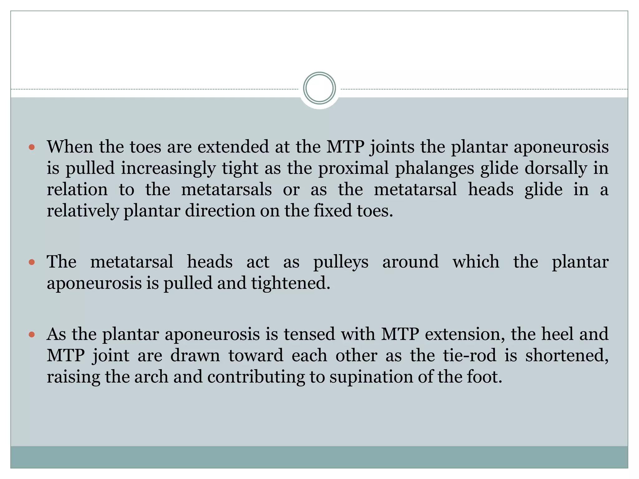 Ankle & foot biomechanics | PPTX