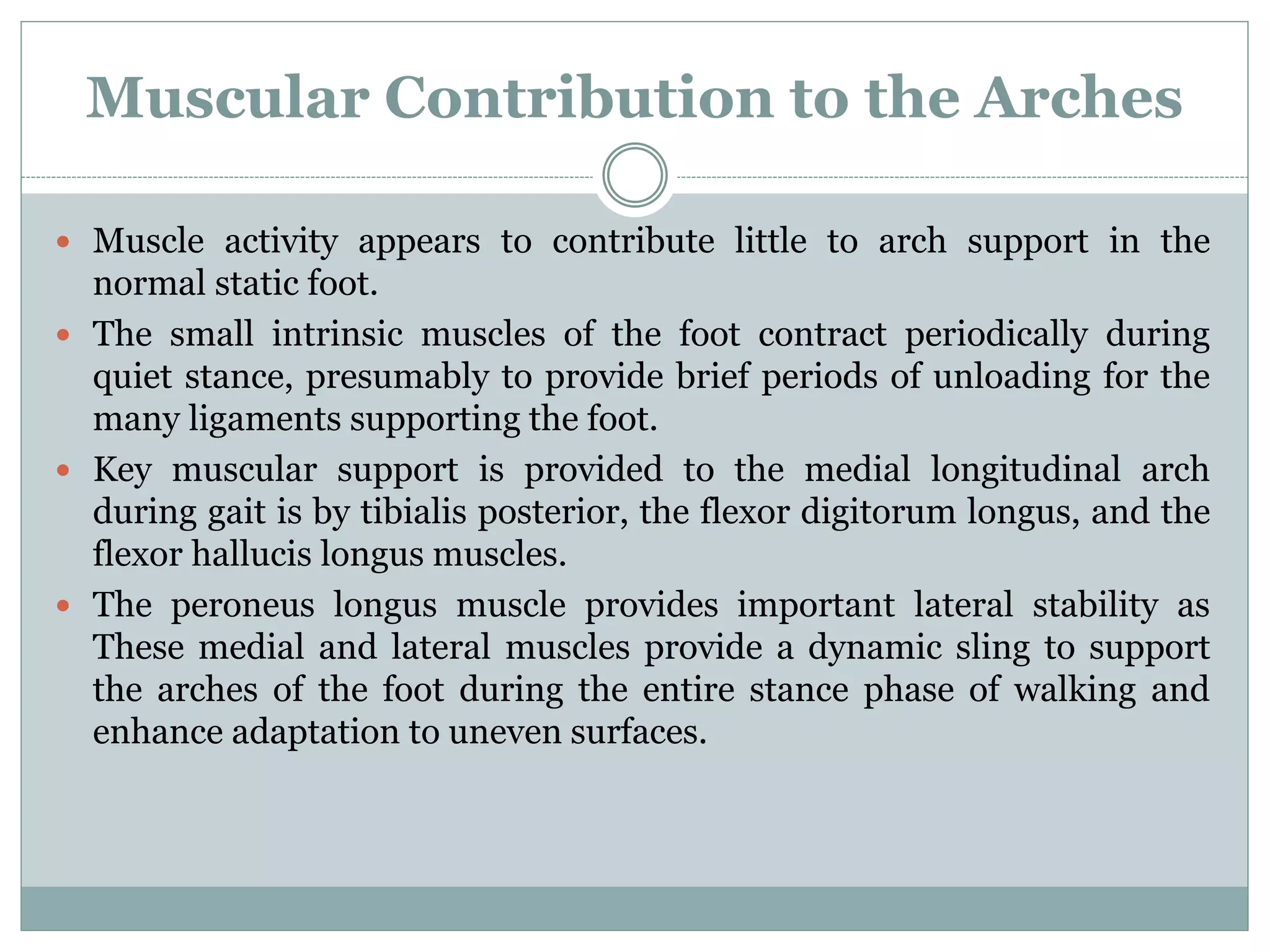 Ankle & foot biomechanics | PPTX
