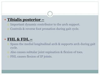 Ankle & foot biomechanics | PPTX