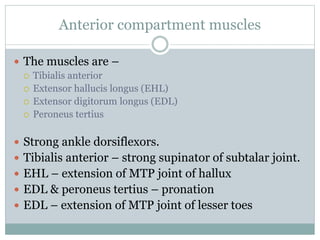 Ankle & foot biomechanics | PPTX
