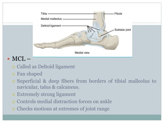 Ankle & foot biomechanics | PPTX