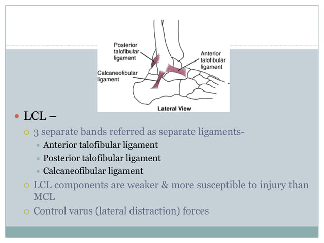 Ankle & foot biomechanics | PPTX