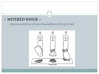 Ankle & foot biomechanics | PPTX