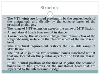 Ankle & foot biomechanics | PPTX