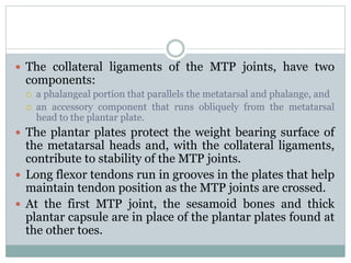 Ankle & foot biomechanics | PPTX