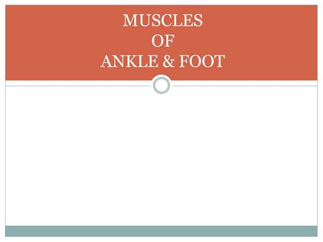 Ankle & foot biomechanics | PPTX