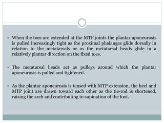 Ankle & foot biomechanics | PPTX