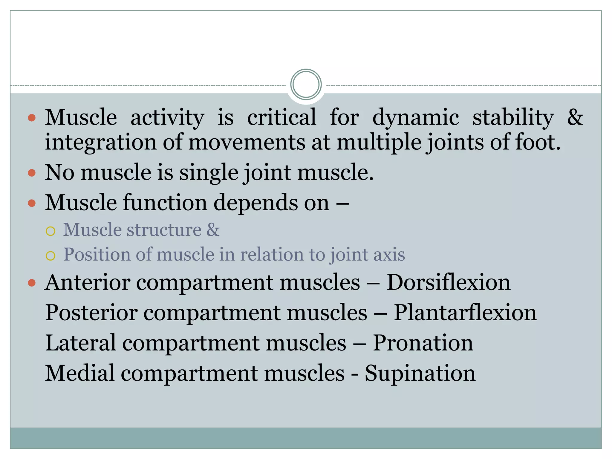 Ankle & foot biomechanics | PPTX