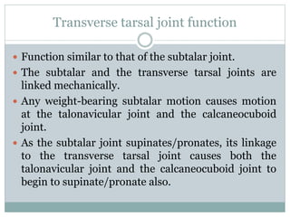 Ankle Foot Biomechanics-.pdf