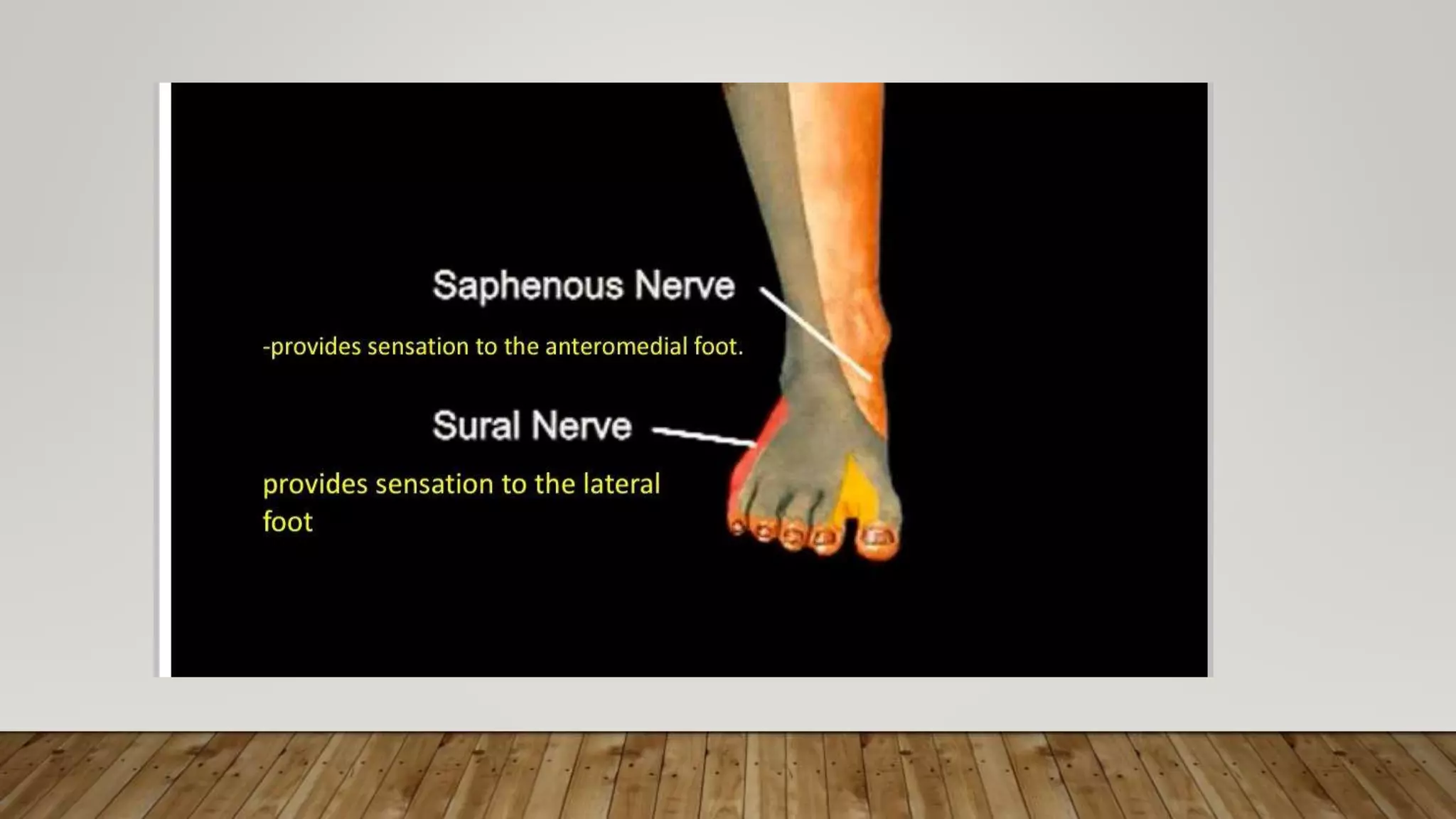 Ankle Foot Block.pptx