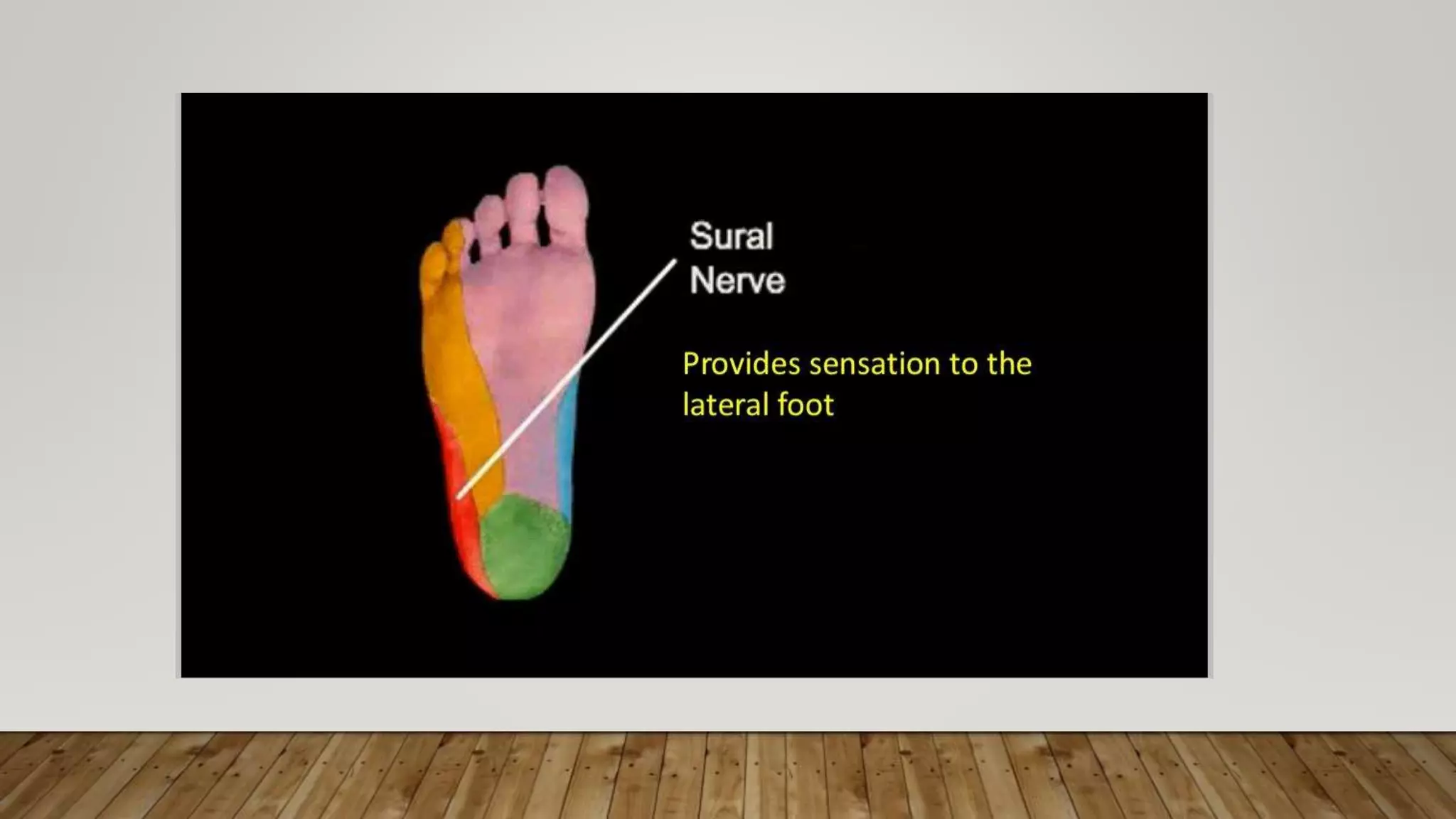 Ankle Foot Block.pptx