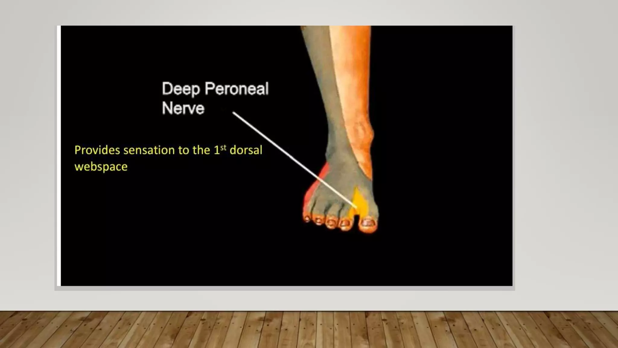 Ankle Foot Block.pptx