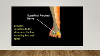 Ankle Foot Block.pptx