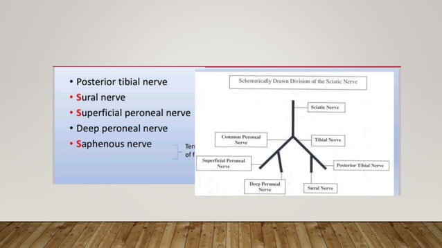 Ankle Foot Block.pptx