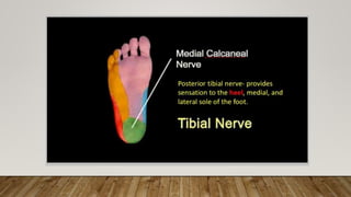 Ankle Foot Block.pptx