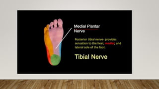 Ankle Foot Block.pptx