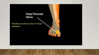 Ankle Foot Block.pptx