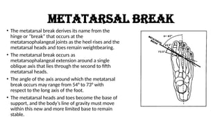 THE BIOMECHANICS & KINESIOLOGY OF THE ANKLE & FOOT COMPLEX.pptx