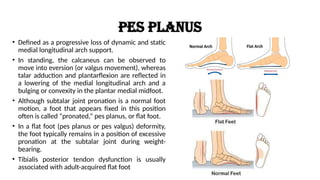 THE BIOMECHANICS & KINESIOLOGY OF THE ANKLE & FOOT COMPLEX.pptx