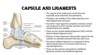 THE BIOMECHANICS & KINESIOLOGY OF THE ANKLE & FOOT COMPLEX.pptx
