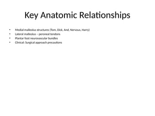 Ankle_Foot_Orthopedic_Anatomy_Presentation.pptx