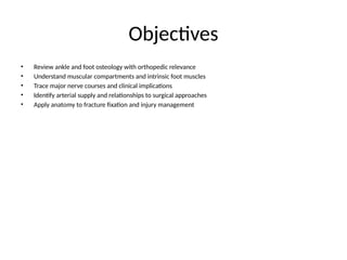 Ankle_Foot_Orthopedic_Anatomy_Presentation.pptx