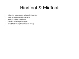Ankle_Foot_Orthopedic_Anatomy_Presentation.pptx