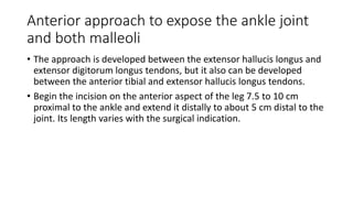 Ankle & Foot Xray & Surgical Approaches | PPTX