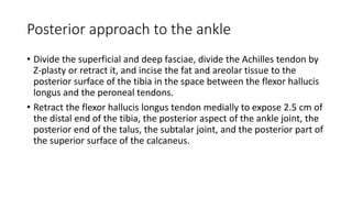 Ankle & Foot Xray & Surgical Approaches | PPTX