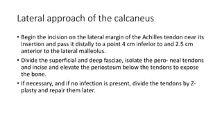 Ankle & Foot Xray & Surgical Approaches | PPTX