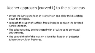 Ankle & Foot Xray & Surgical Approaches | PPTX