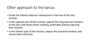 Ankle & Foot Xray & Surgical Approaches | PPT