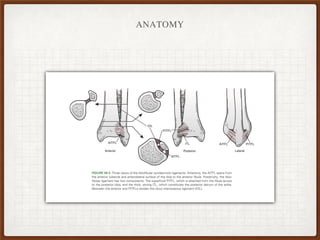 Ankle fracture | PDF