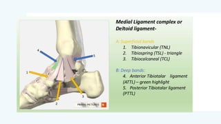 Ankle fracture | PPTX