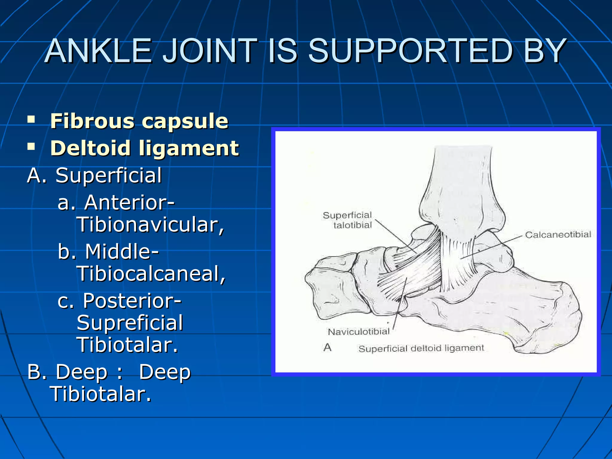 Ankle fractures | PPT