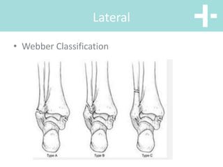 Ankle Dislocation Horse