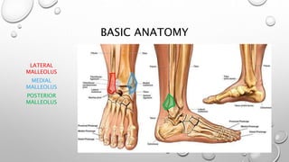 Ankle fractures.pptx