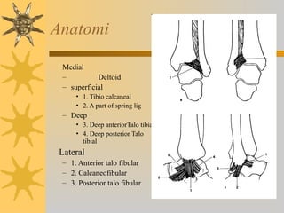ANKLE FRACTURES, Anatomi, Stability, Main Ligamentous system | PPT