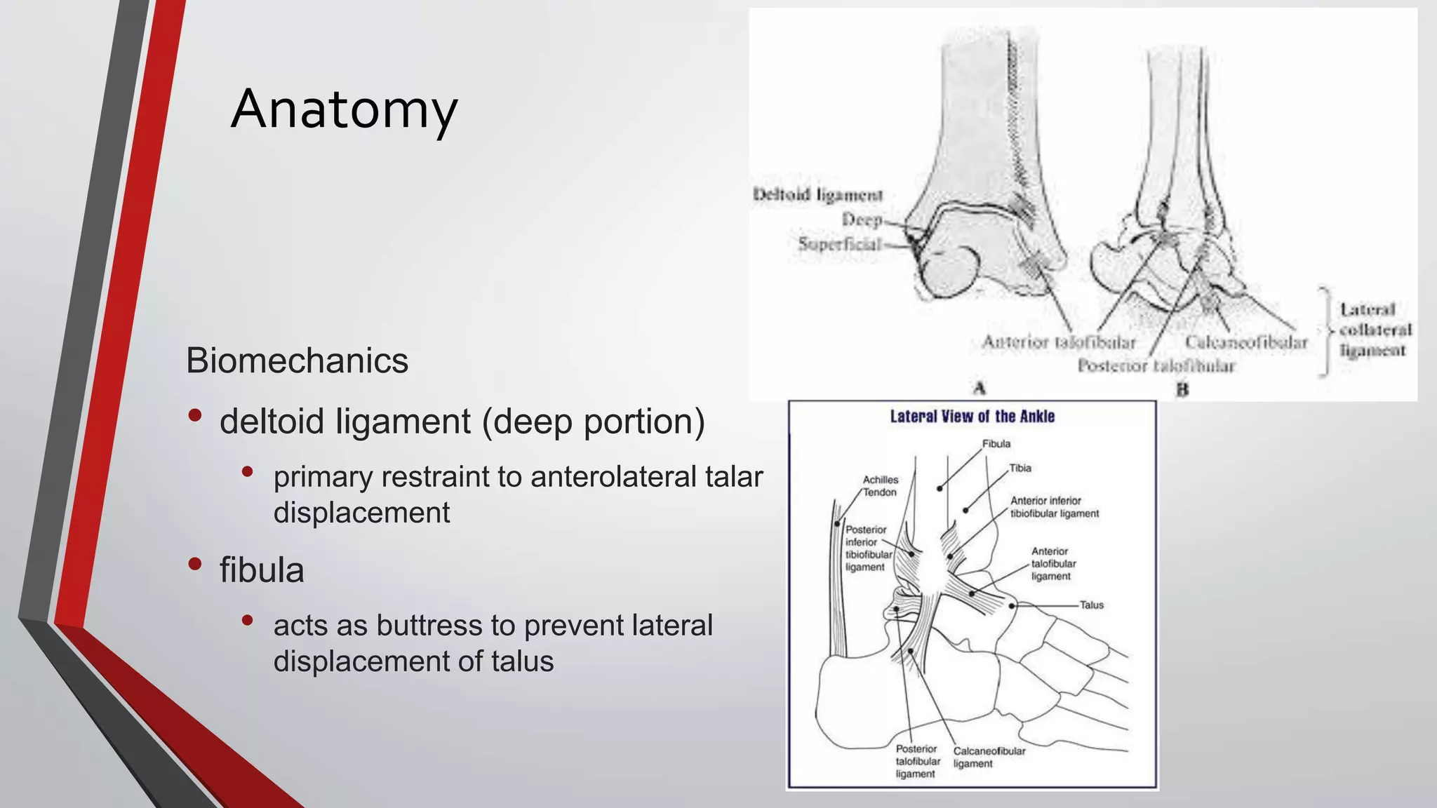 Ankle Fractures and Syndesmosis.pptx