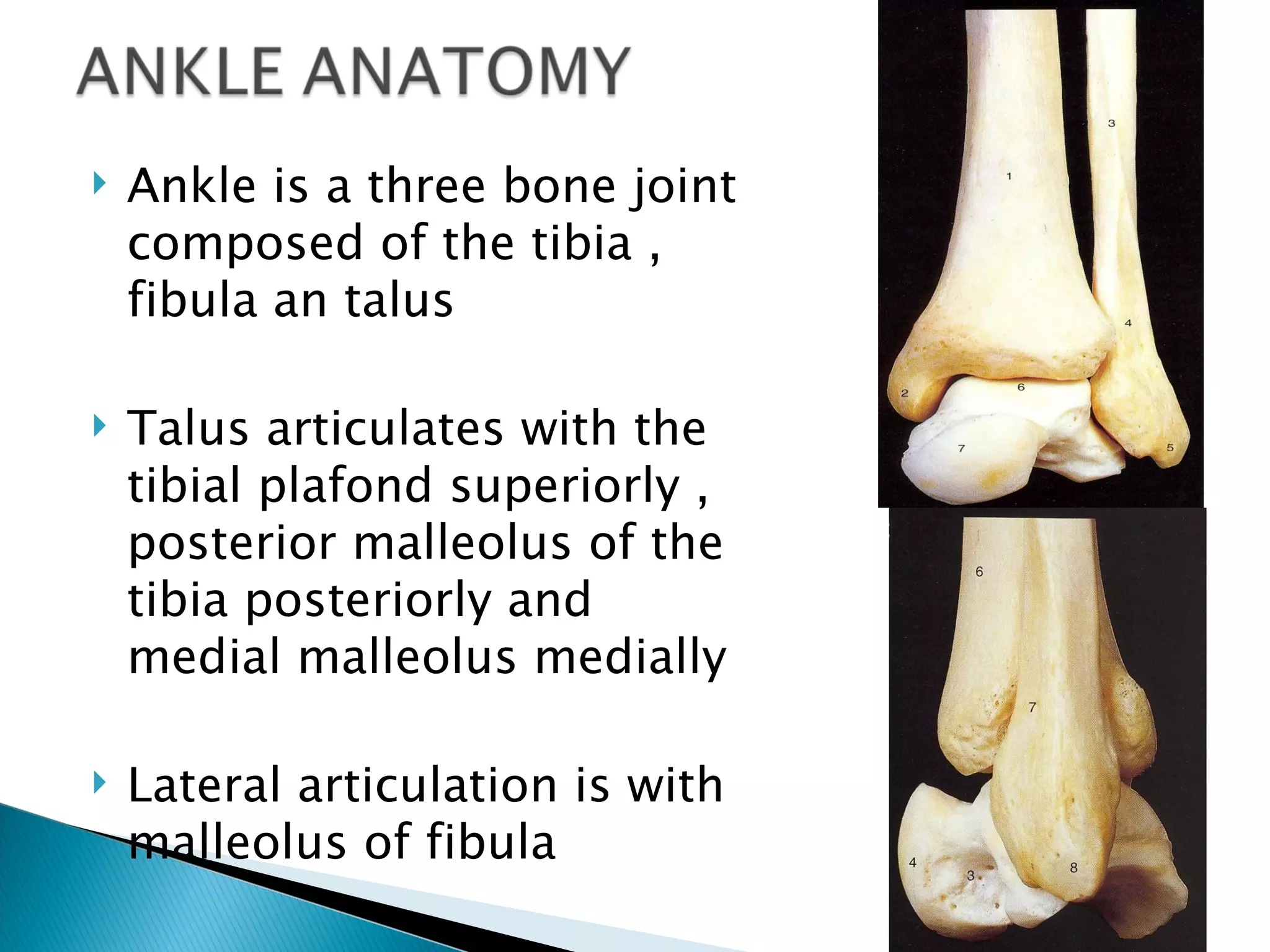 Ankle fractures final | PPT
