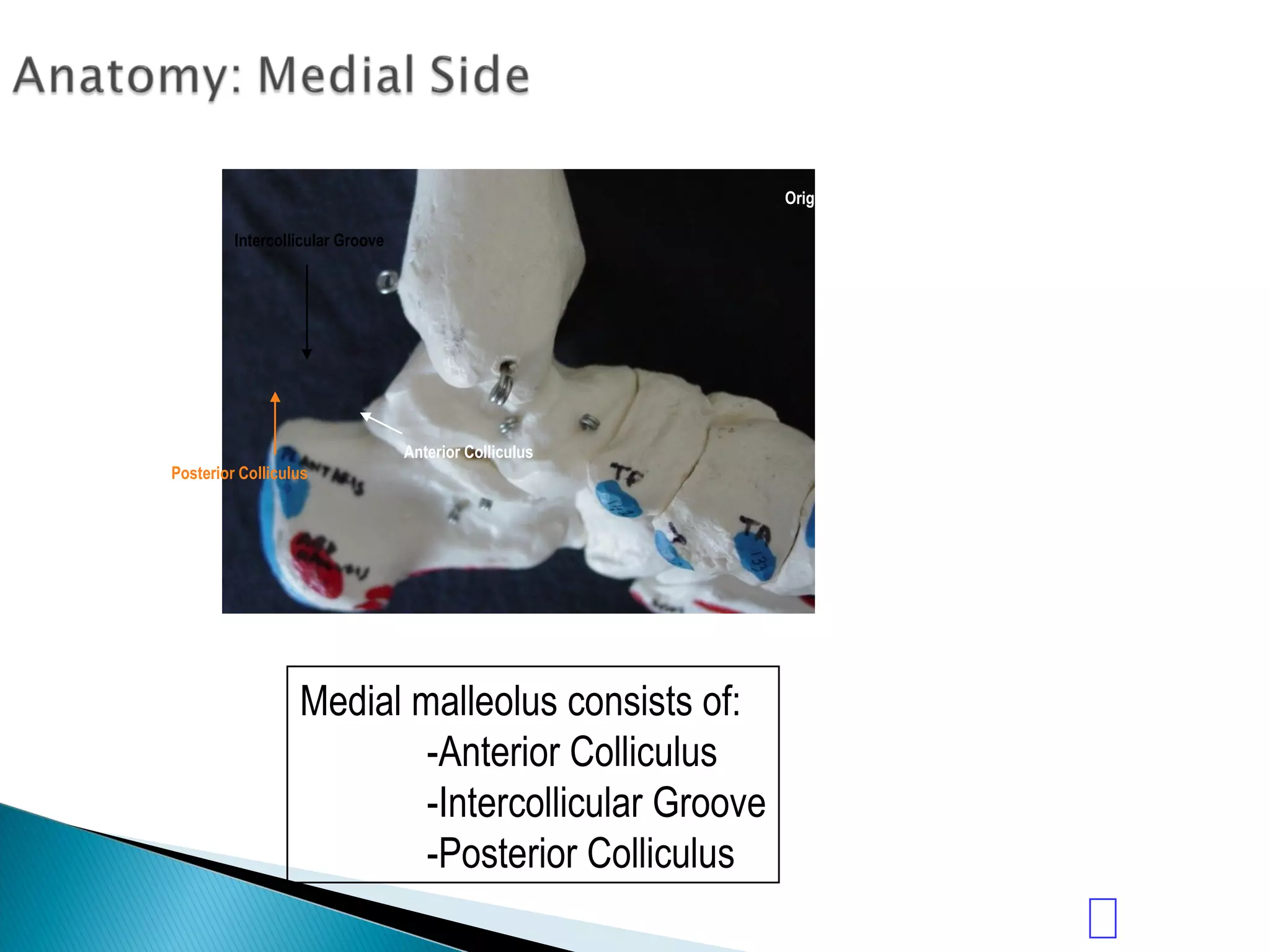 Ankle fractures final | PPT