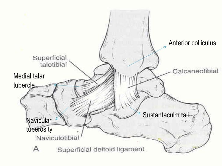 Ankle fractures final